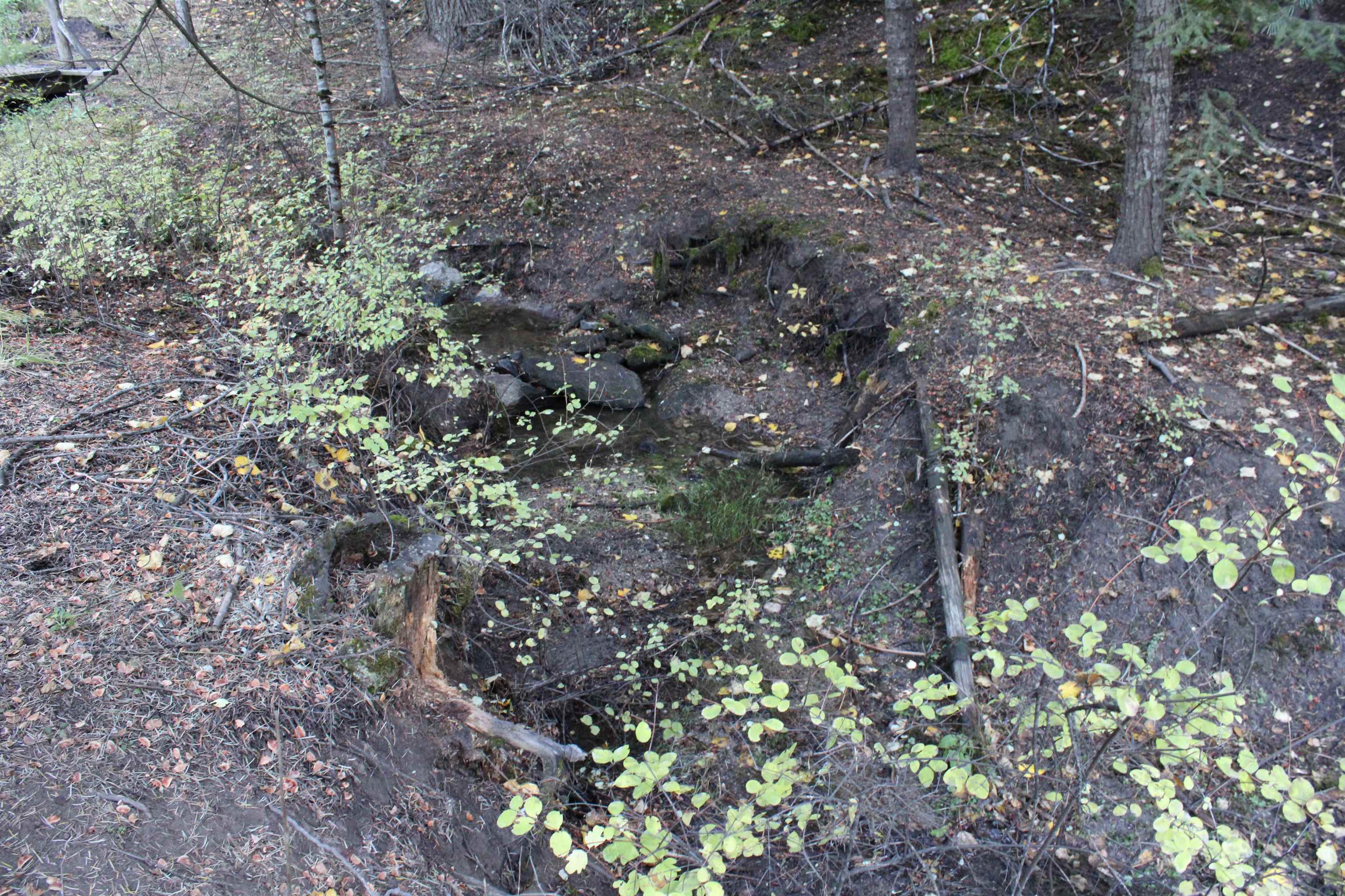 16118 E Temple Rd, Spokane, WA 99217 | MLS # 202526297